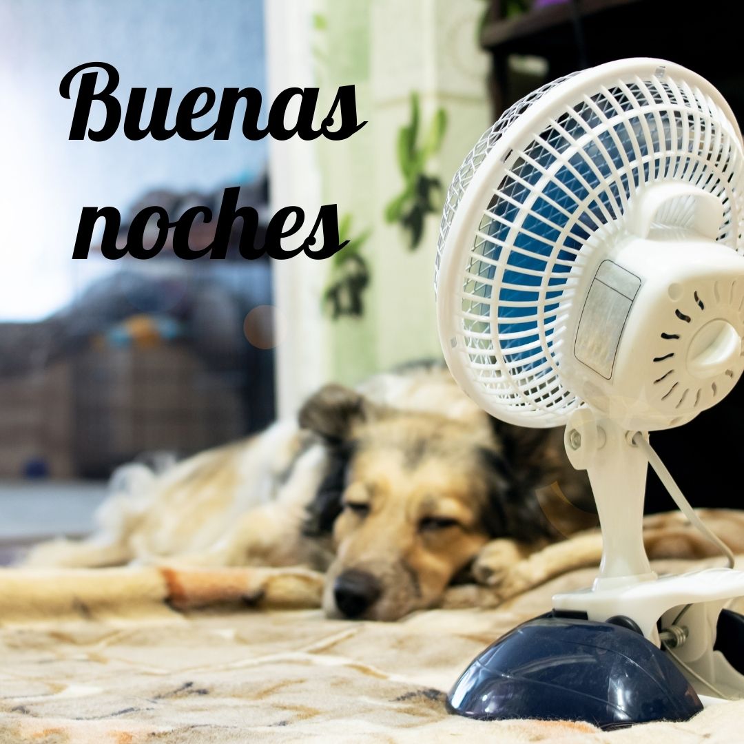 Buenas noches verano | Imágenes de verano con calor GRATIS